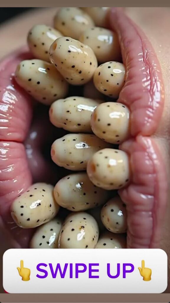 Mango Worms in Dogs: Causes, Fast Treatment, and Prevention - POPULARNEWS