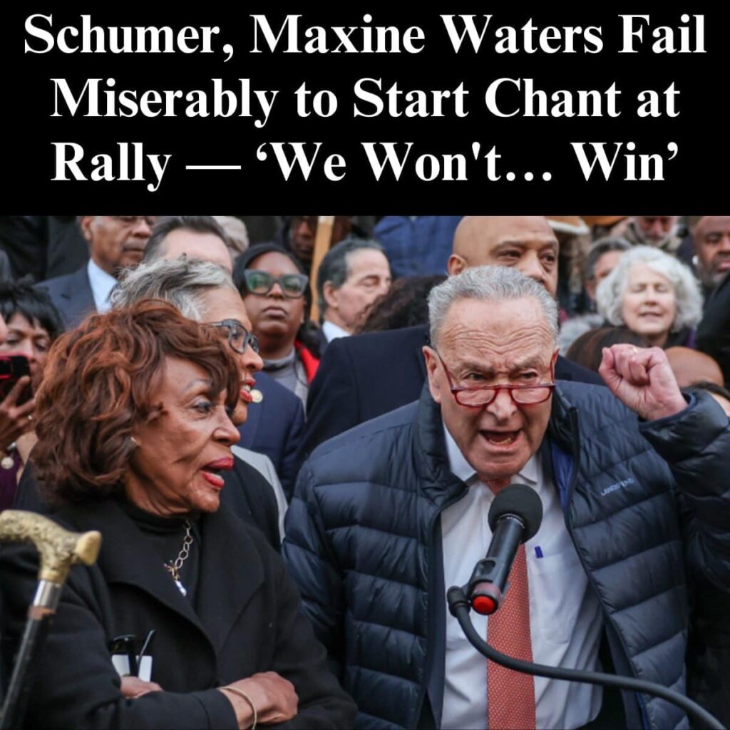 Schumer, Waters Fail To Start Anti-Musk Chant At ‘Rally’ - POPULARNEWS