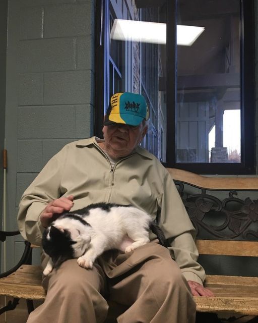 The Nursing Home Cat Only Loved One Man—and After He Passed, We Finally ...
